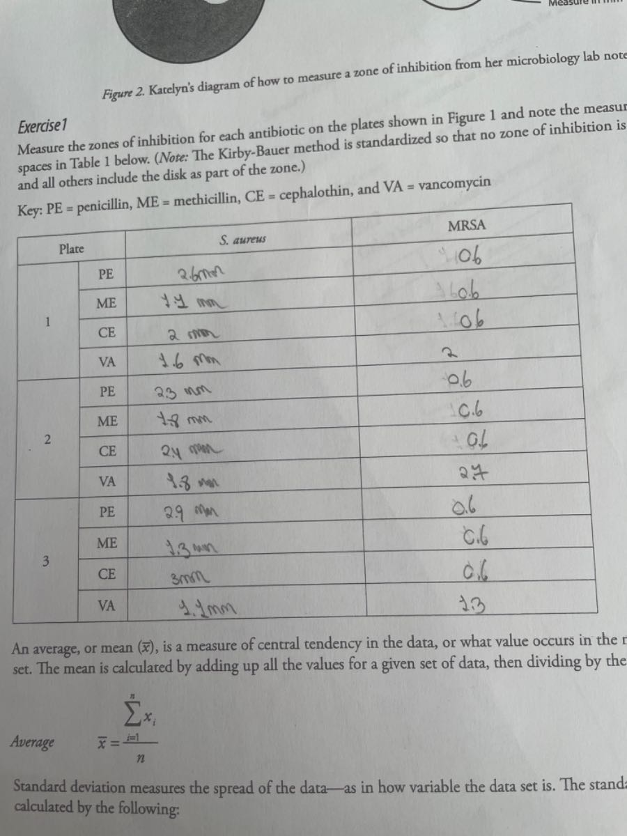 figure 2 katelyns diagram of how to measure a zone of inhibition from ...