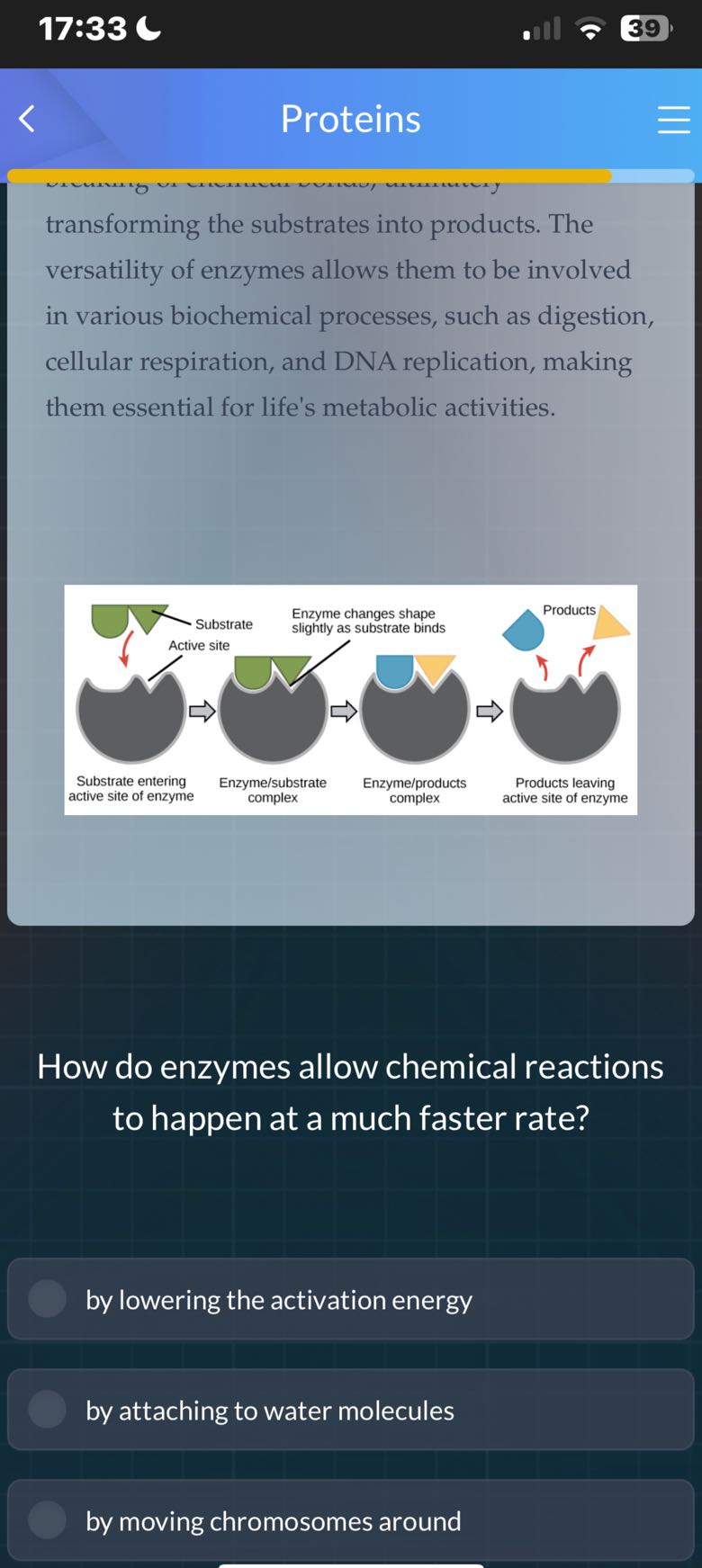 17:33 39 Proteins transforming the substrates into products. The ...