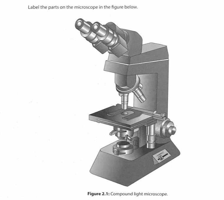 [GET ANSWER] Label the parts on the microscope in the figure below ...