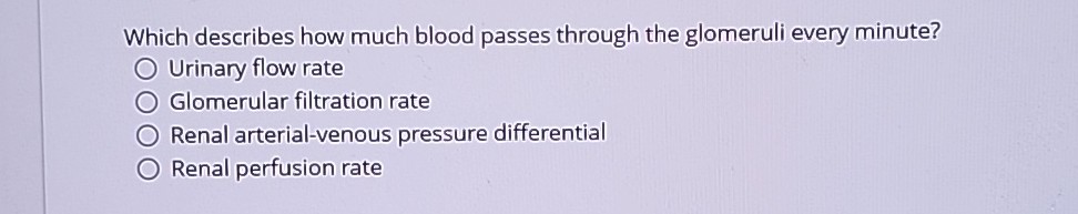 Which describes how much blood passes through the glomeruli every ...