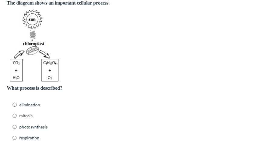 The diagram shows an important cellular process. What process is ...
