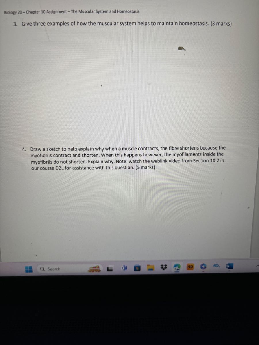 Biology 20 - Chapter 10 Assignment - The Muscular System and ...