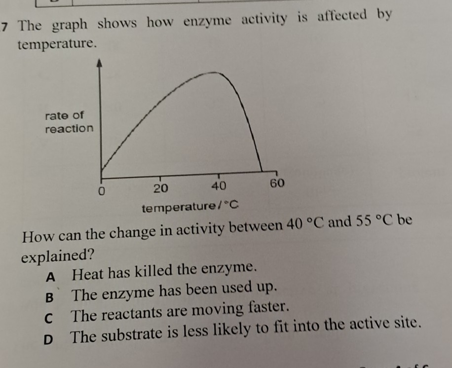 7 The graph shows how enzyme activity is affected by temperature. How ...