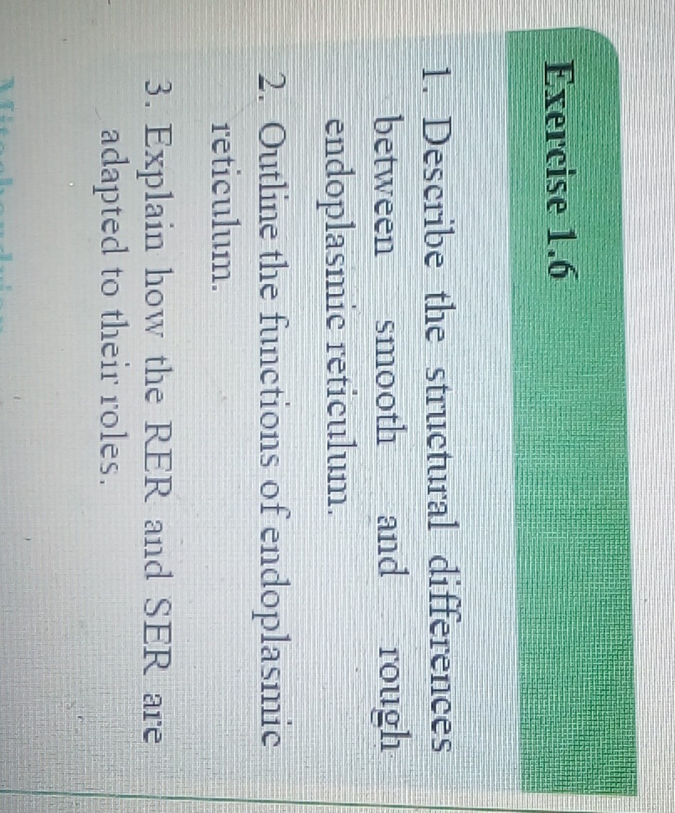 Exercise 1.6 1. Describe the structural differences between smooth and rough endoplasmic ...