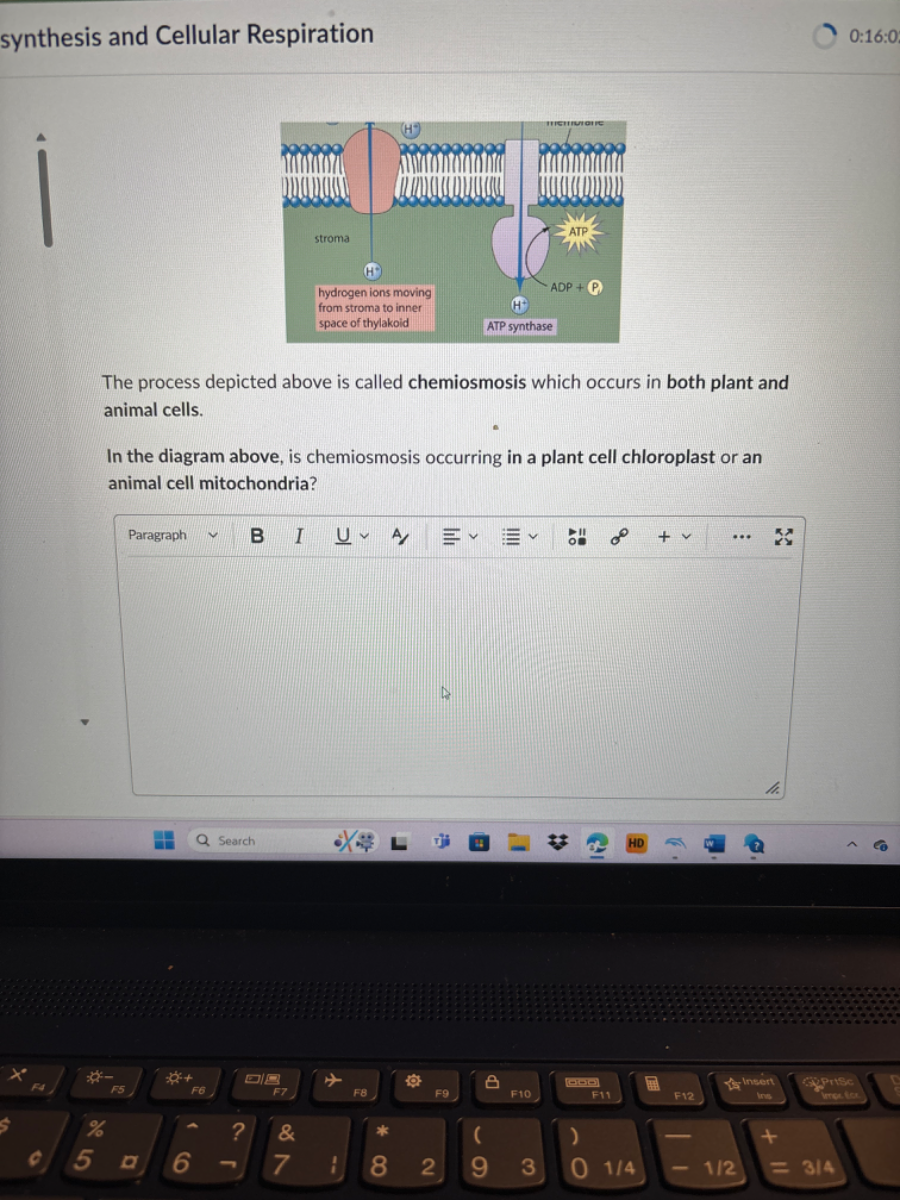 synthesis and Cellular Respiration The process depicted above is called chemiosmosis which ...