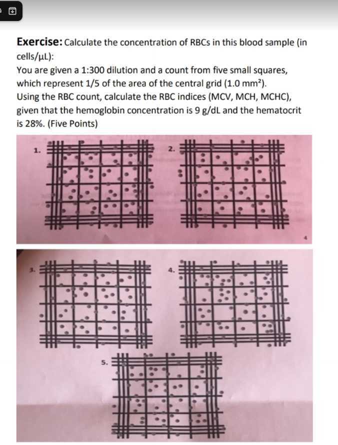 Exercise: Calculate the concentration of RBCs in this blood sample (in ...