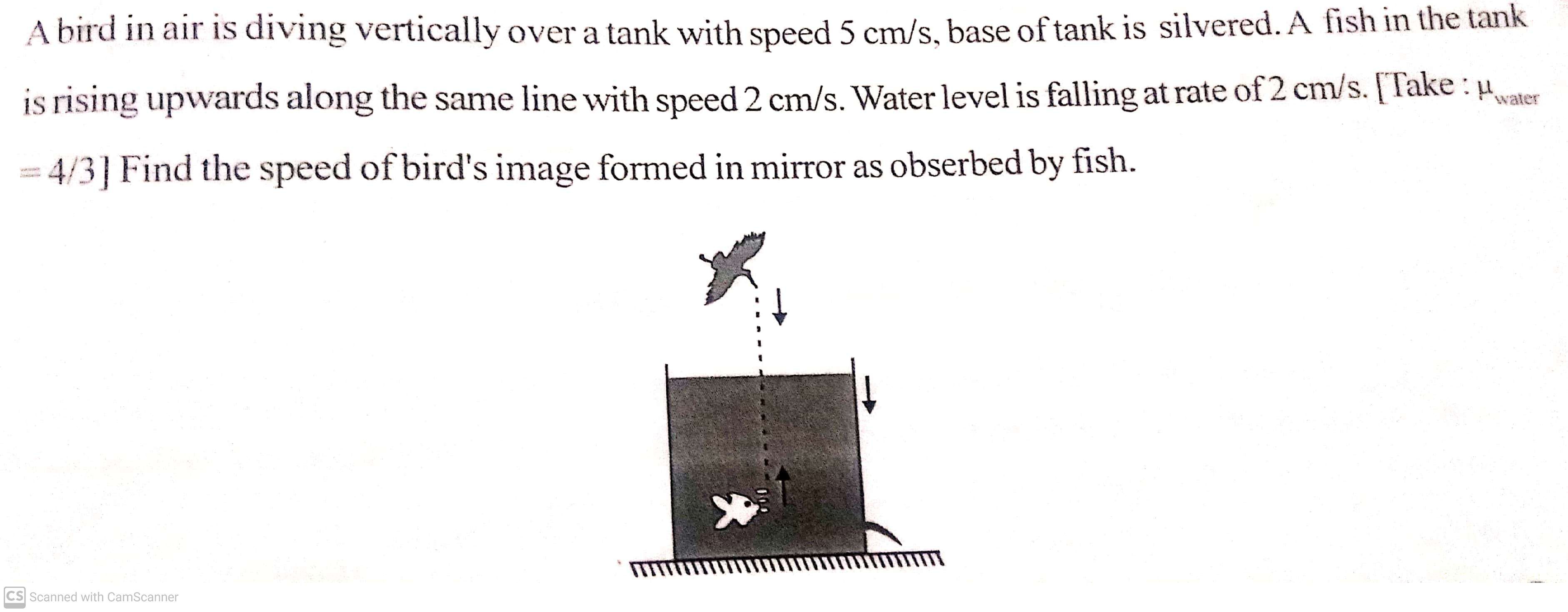 A bird in air is diving vertically over a tank with speed 5 cm / s ...