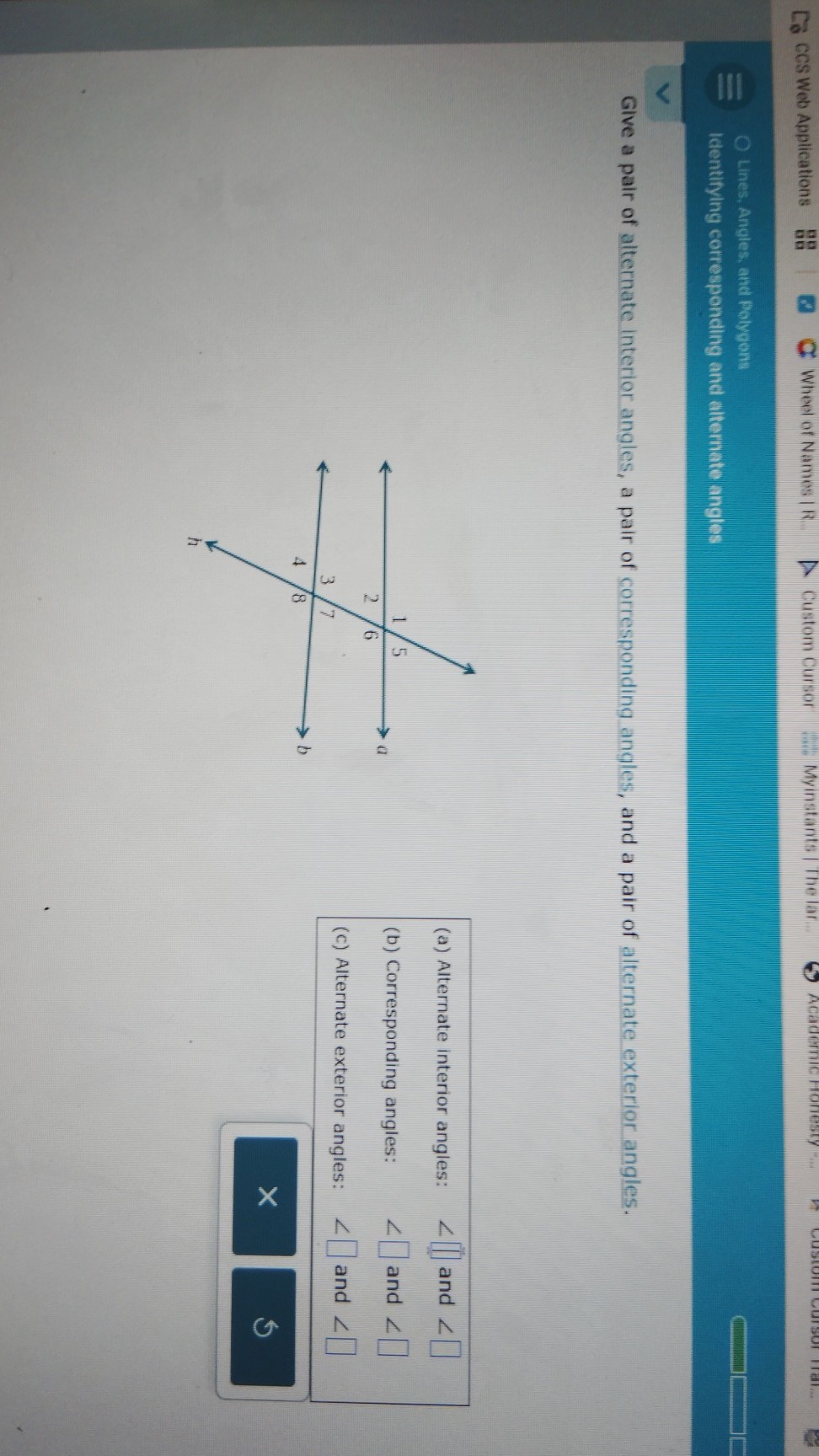 CCS Web Applications ? Wheel of Names | R Custom Cursor Myinstants| The ...