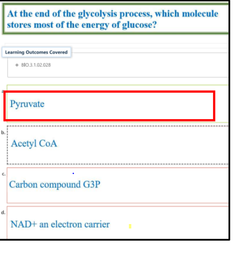 At the end of the glycolysis process, which molecule stores most of the ...