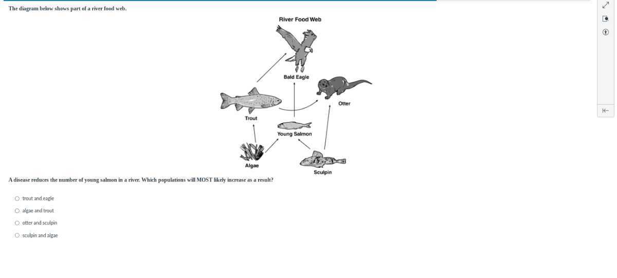 The diagram below shows part of a river food web. A disease reduces the ...