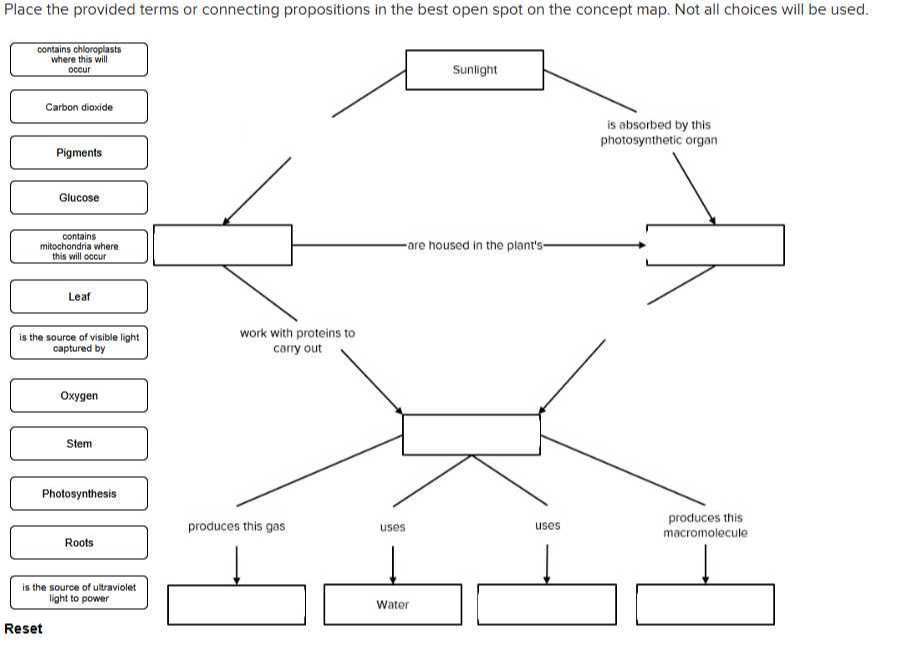place the provided terms or connecting propositions in the best open ...