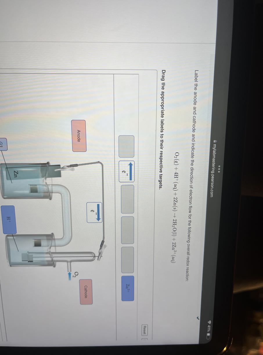 mylabmastering.pearson.com 41% Label the anode and cathode and indicate ...