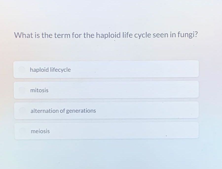 What is the term for the haploid life cycle seen in fungi? haploid ...