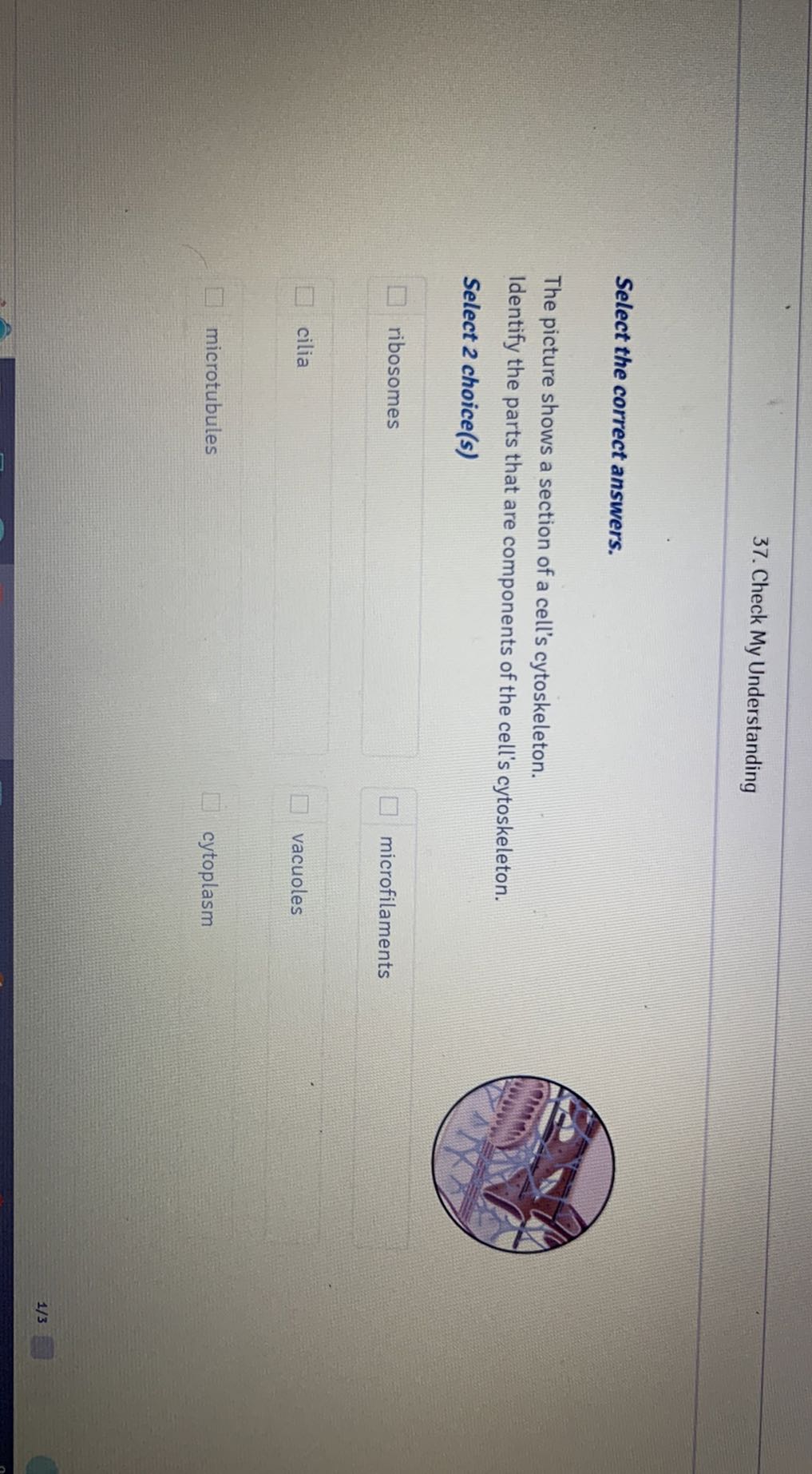 37. Check My Understanding Select the correct answers. The picture shows a section of a cell's ...