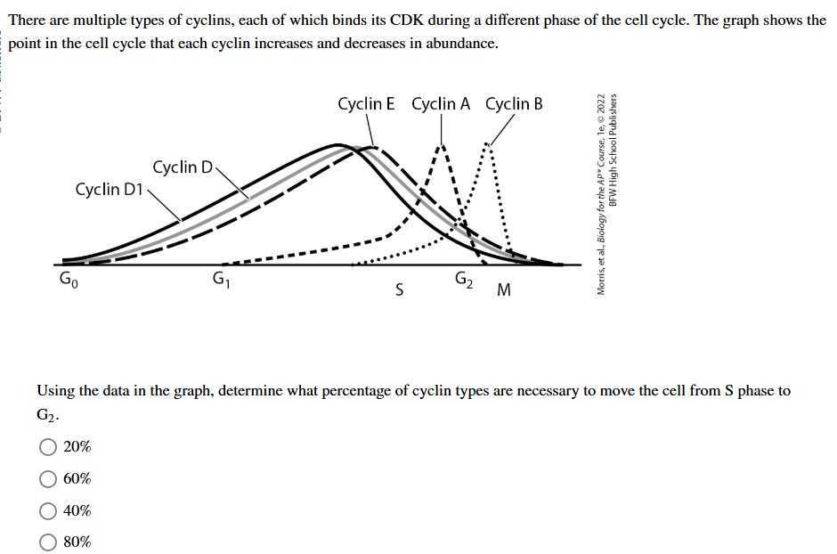 There are multiple types of cyclins, each of which binds its CDK during ...