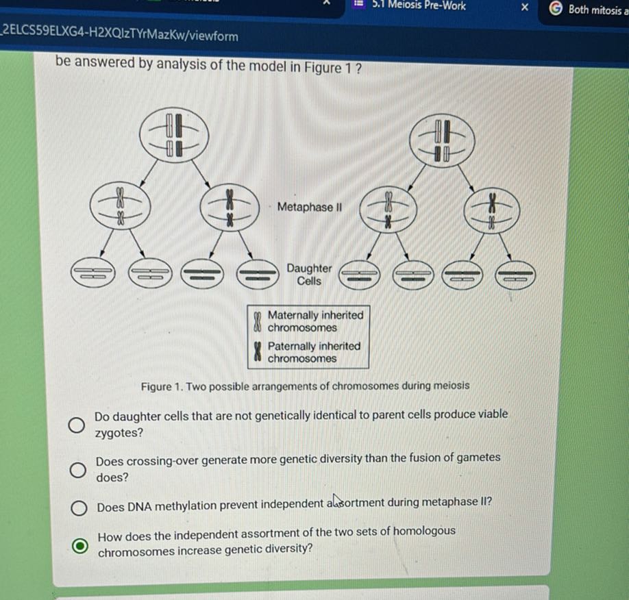 5.? Meiosis Pre-Work Both mitosis a 2ELCS59ELXG4-H2XQlzTYrMazKw ...