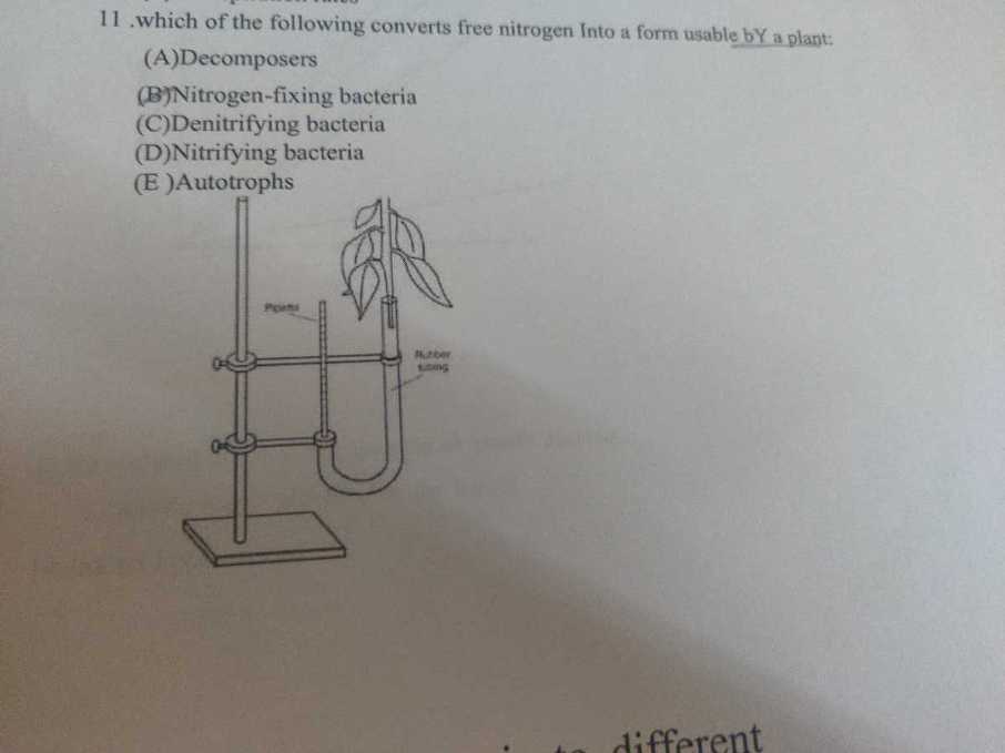 11. which of the following converts free nitrogen Into a form usable bY ...
