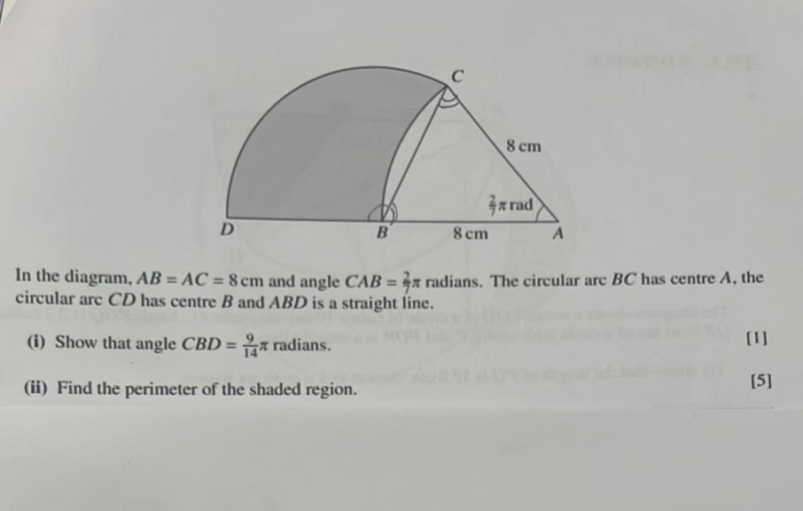 In the diagram, A B=A C=8 cm and angle C A B=(2)/(7)π radians. The ...