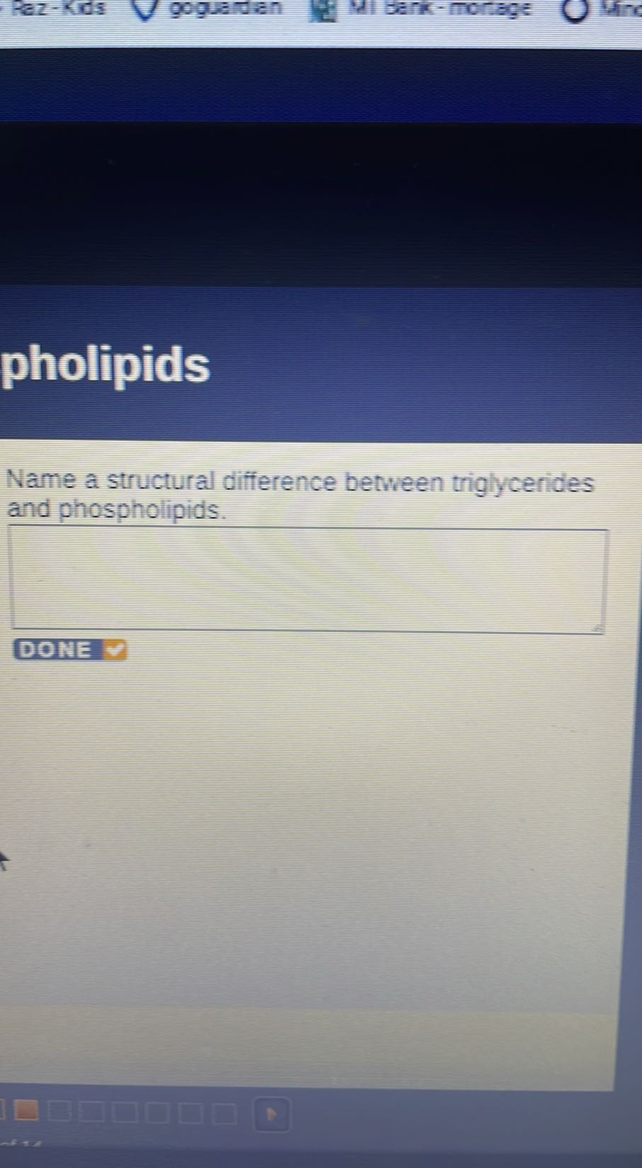 Raz Kds Goguarden Bell Bank Mortage End Pholipids Name A Structural