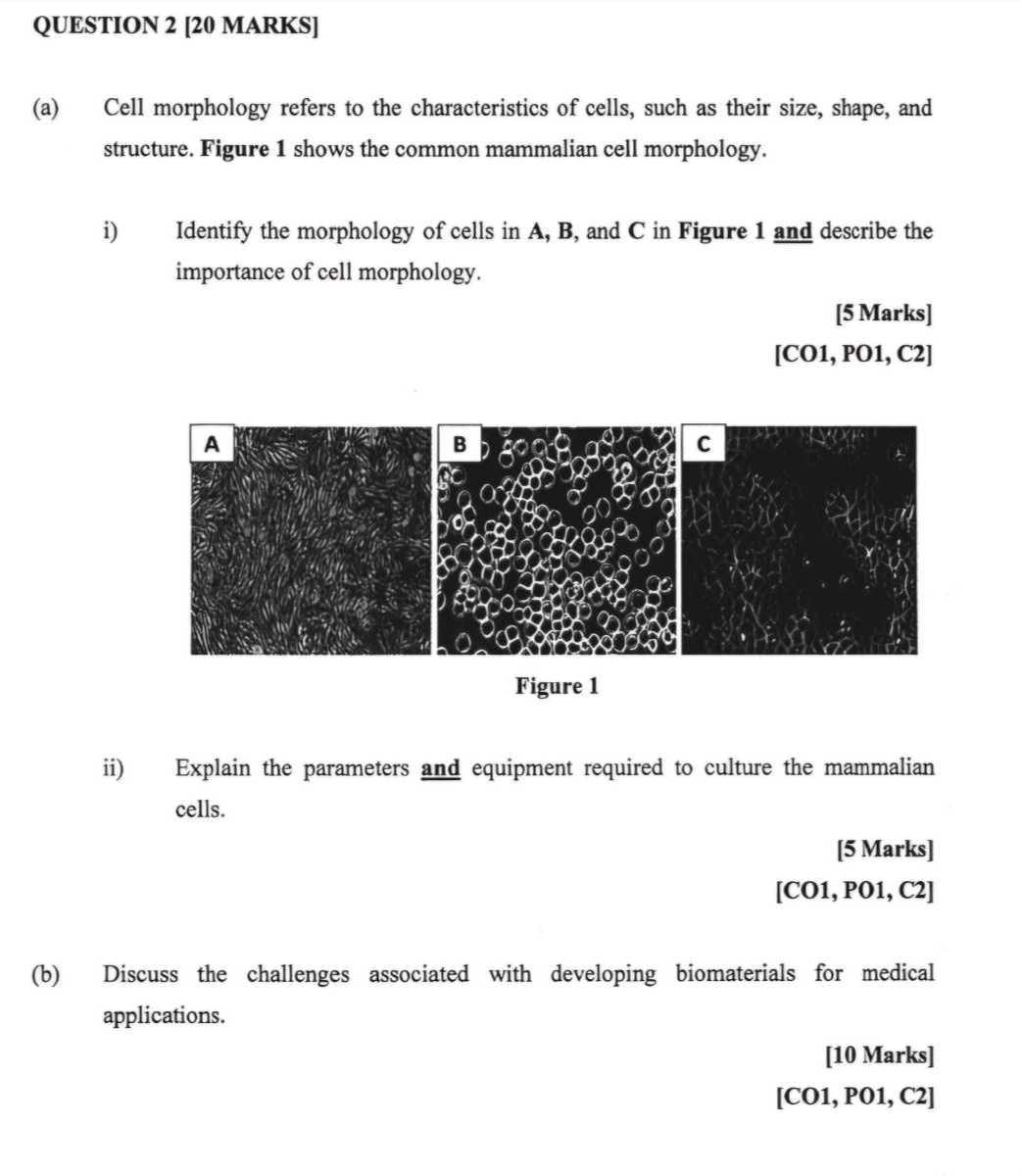 QUESTION 2 [20 MARKS] (a) Cell morphology refers to the characteristics ...