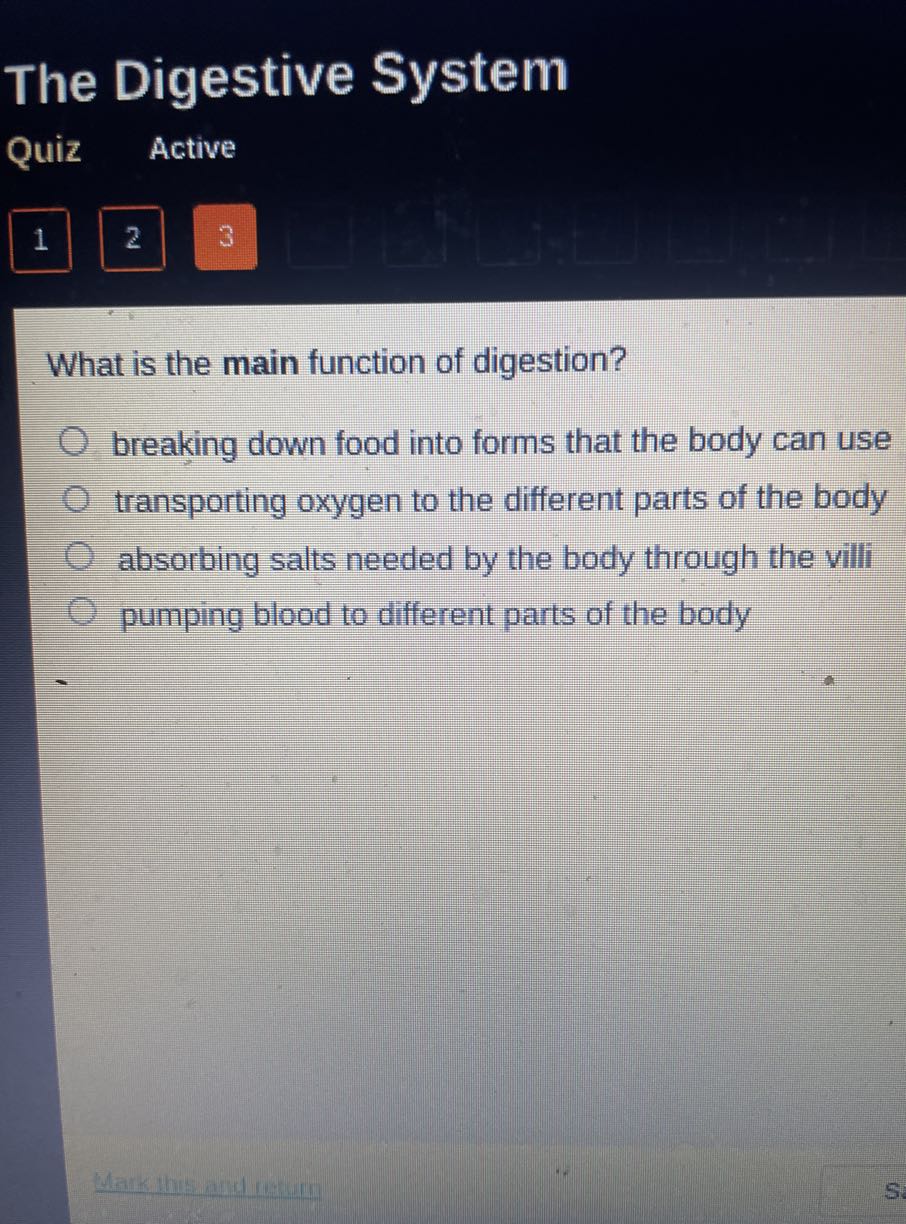 The Digestive System Quiz Active 1 2 3 What is the main function of ...