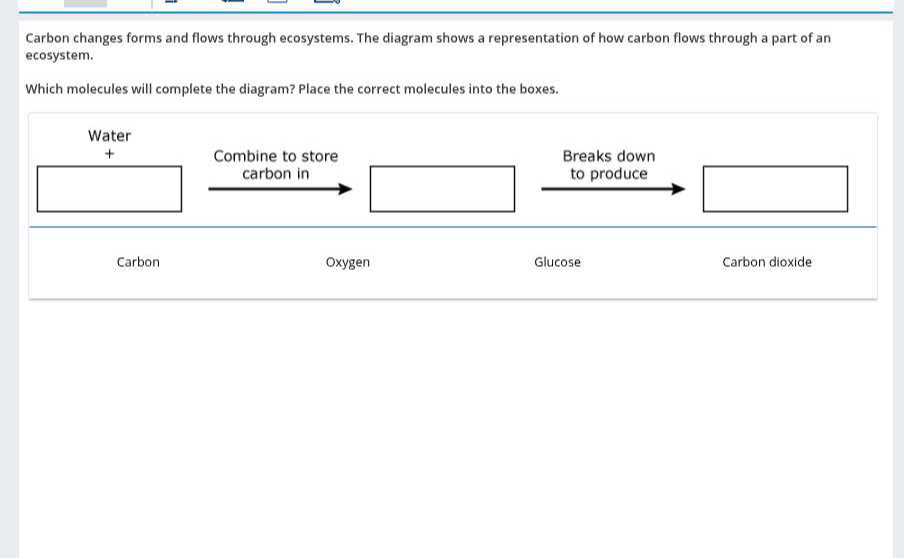 Carbon changes forms and flows through ecosystems. The diagram shows a ...