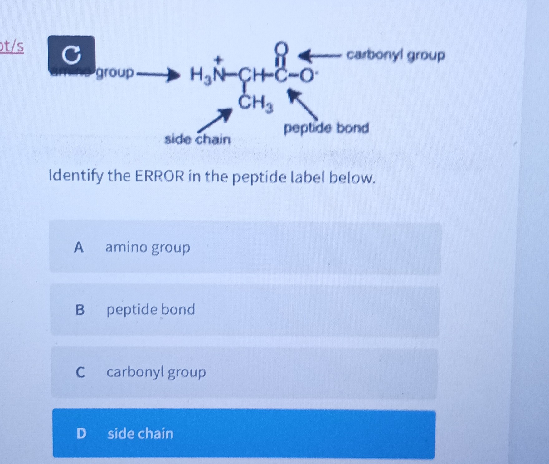 C group side chain Identify the ERROR in the peptide label below. A ...