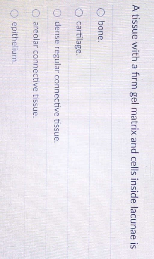 A tissue with a firm gel matrix and cells inside lacunae is bone ...