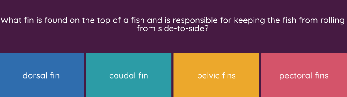What fin is found on the top of a fish and is responsible...