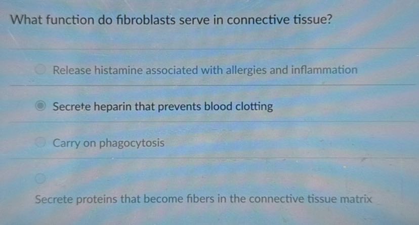 What function do fibroblasts serve in connective tissue? Release ...