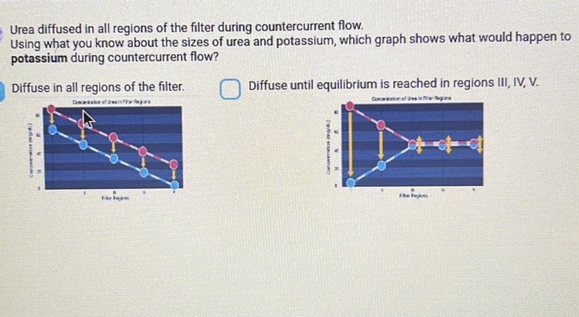 Urea Diffused In All Regions Of The Filter During Countercurrent Flow Using What You Know About