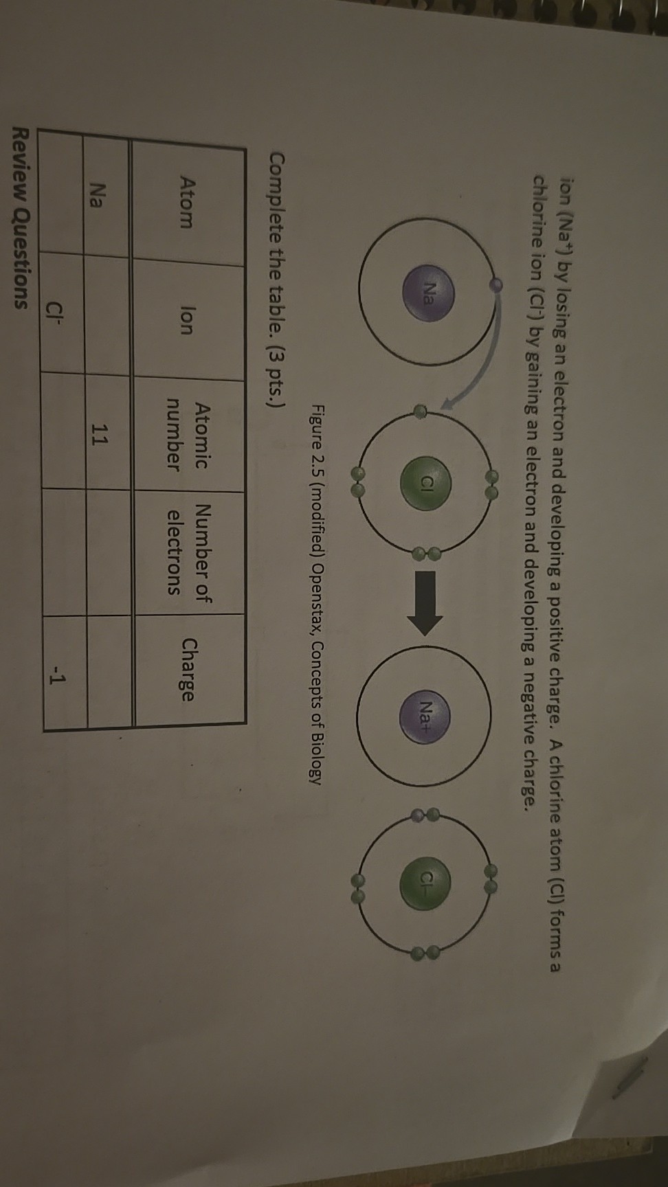 Ion ( Na^+) by losing an electron and developing a positive...