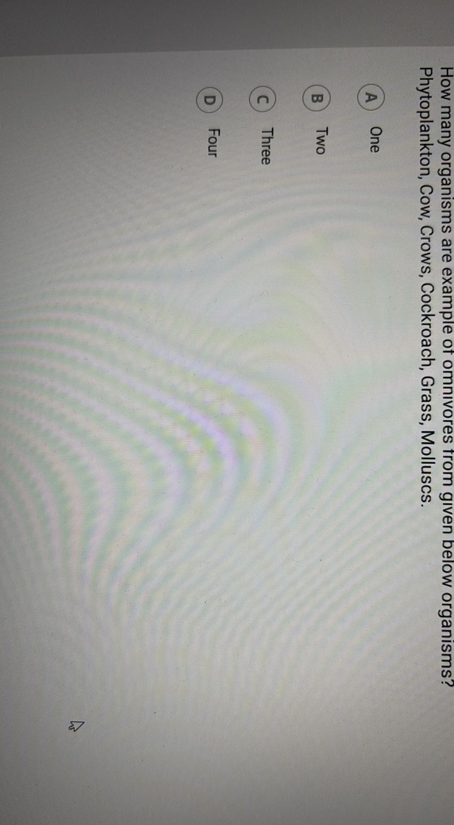 How many organisms are example of omn?vores trom given below organisms ...