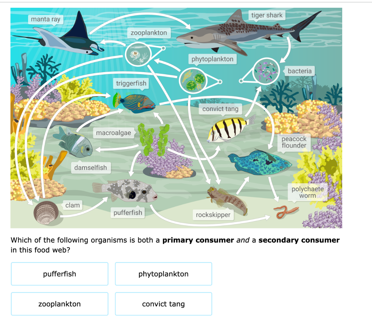 Which of the following organisms is both a primary consumer and a ...
