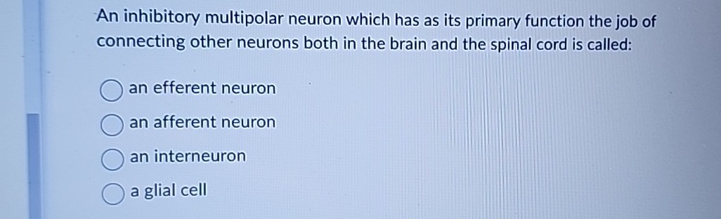 An inhibitory multipolar neuron which has as its primary function the ...
