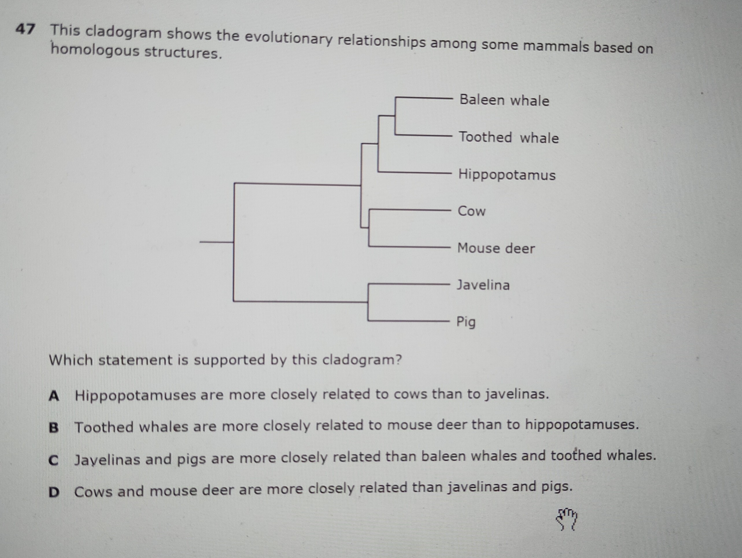 47 This cladogram shows the evolutionary relationships among some ...
