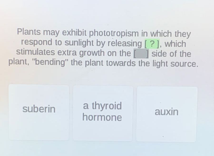 Plants may exhibit phototropism in which they respond to sunlight by ...