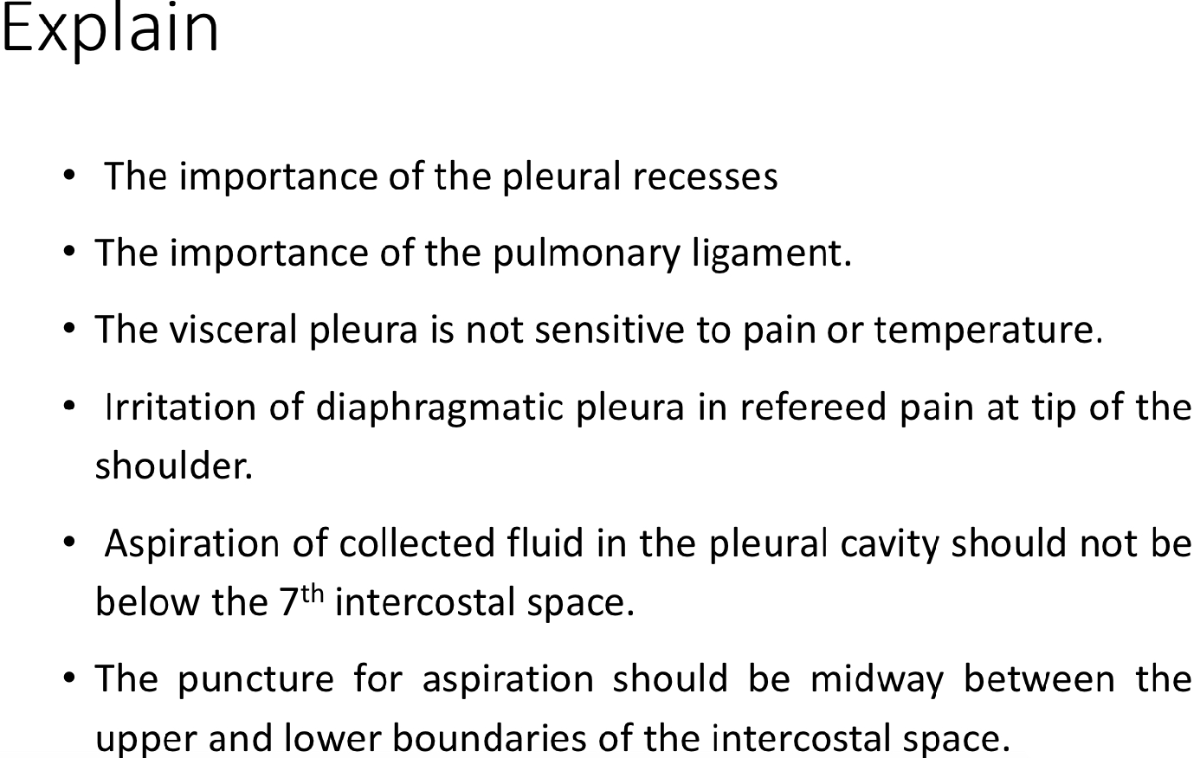 Explain - The importance of the pleural recesses - The importance of ...