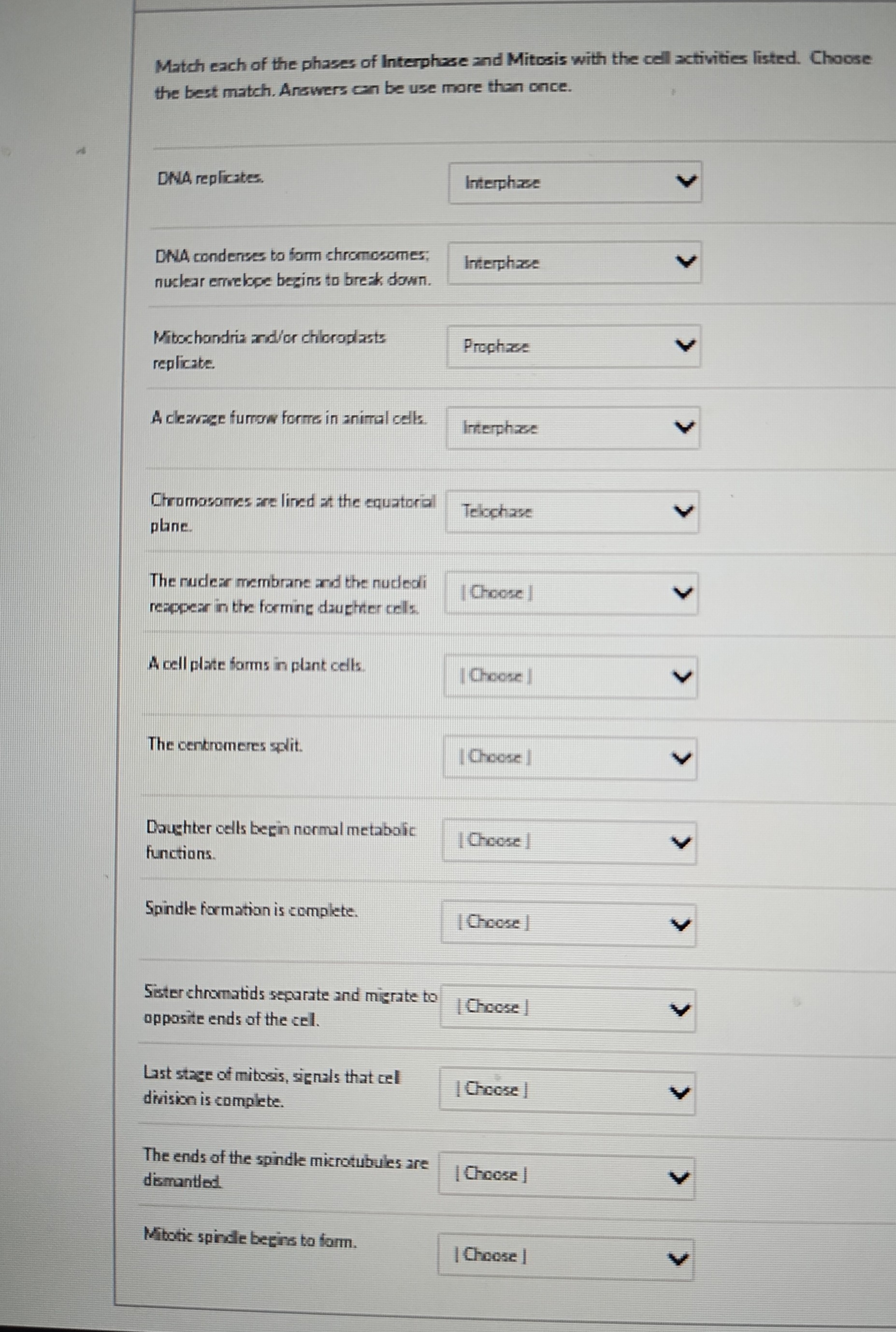 match each of the phases of interphase and mitosis with the cell ...