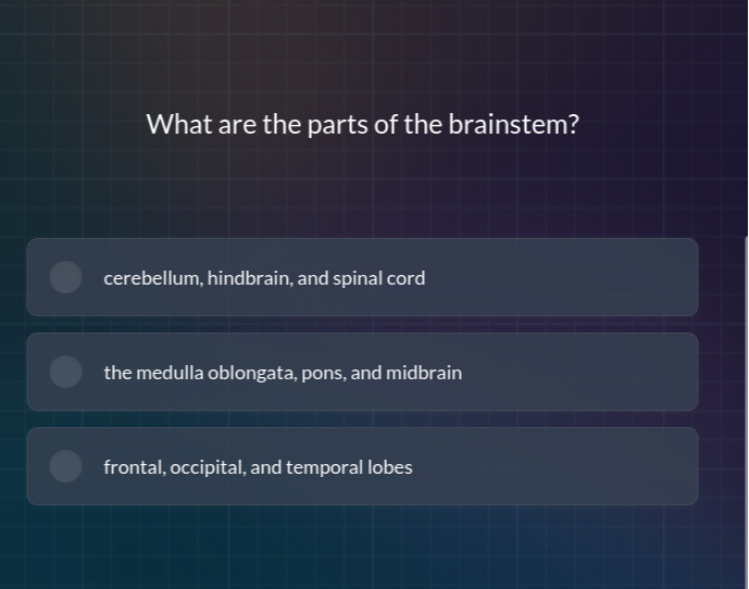 What are the parts of the brainstem? cerebellum, hindbrain, and spinal ...