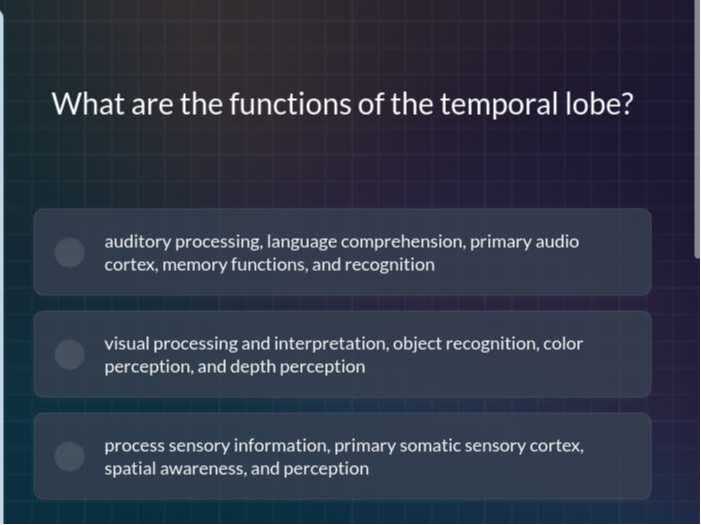 What are the functions of the temporal lobe? auditory processing, language comprehension ...
