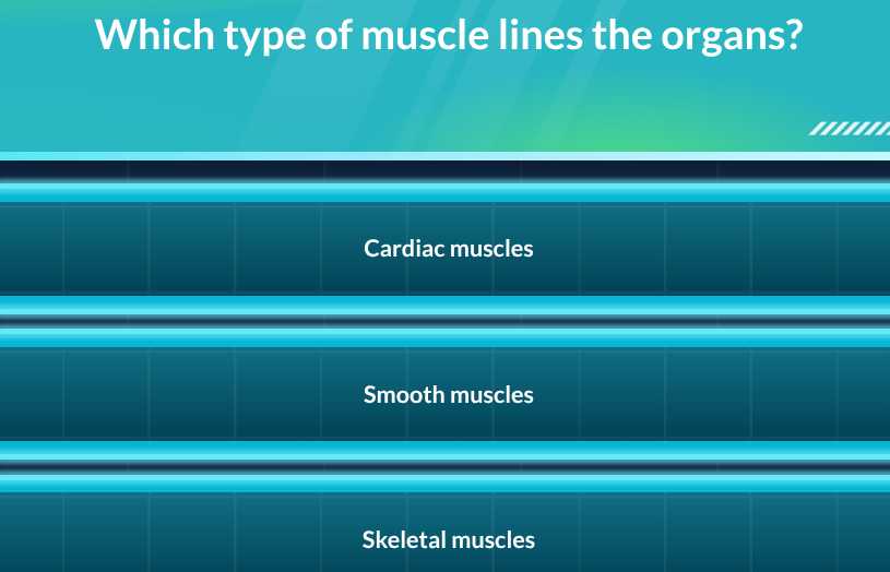 Which type of muscle lines the organs? Cardiac muscles Smooth muscles ...