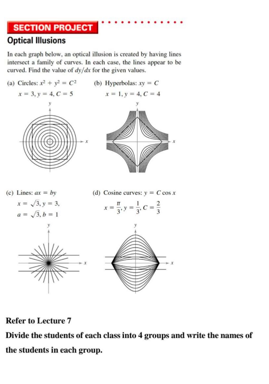 SECTION PROJECT Optical Illusions In each graph below, an optical ...