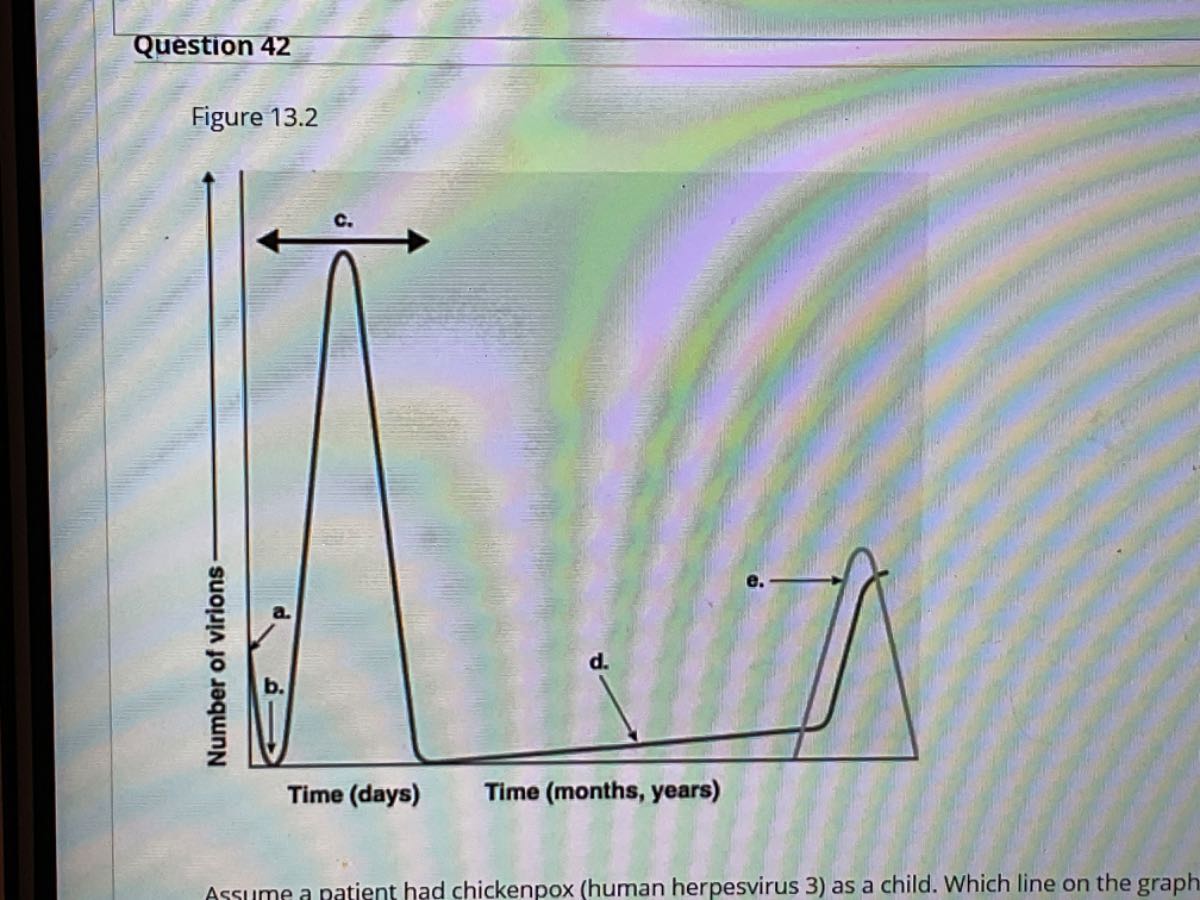 Question 42 Figure 13.2 Assume a natient had chickenpox (human ...