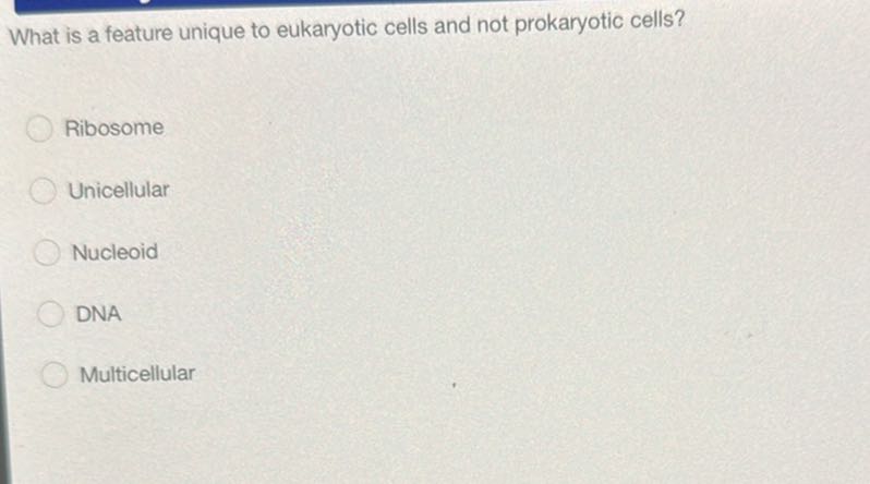 What is a feature unique to eukaryotic cells and not prokaryotic cells ...