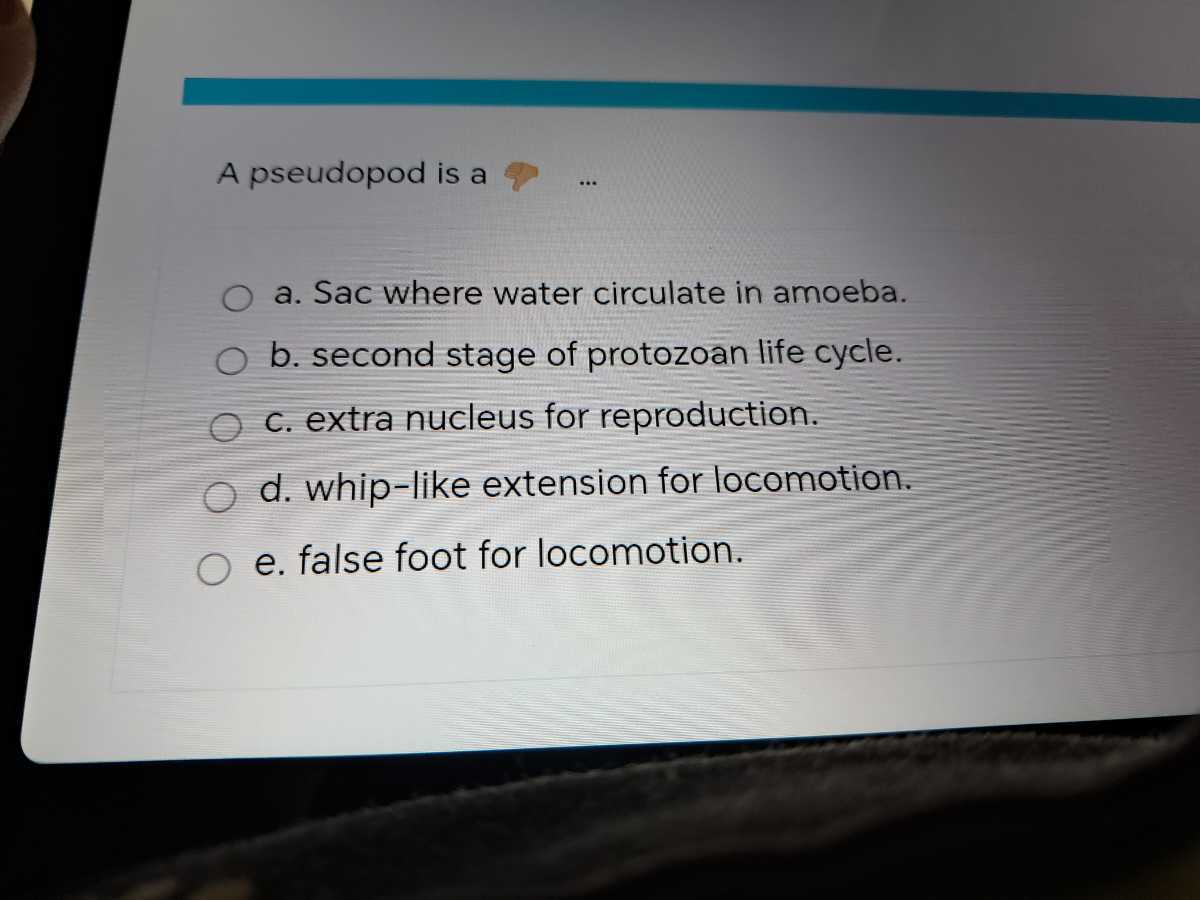 A pseudopod is a a. Sac where water circulate in amoeba. b. second ...