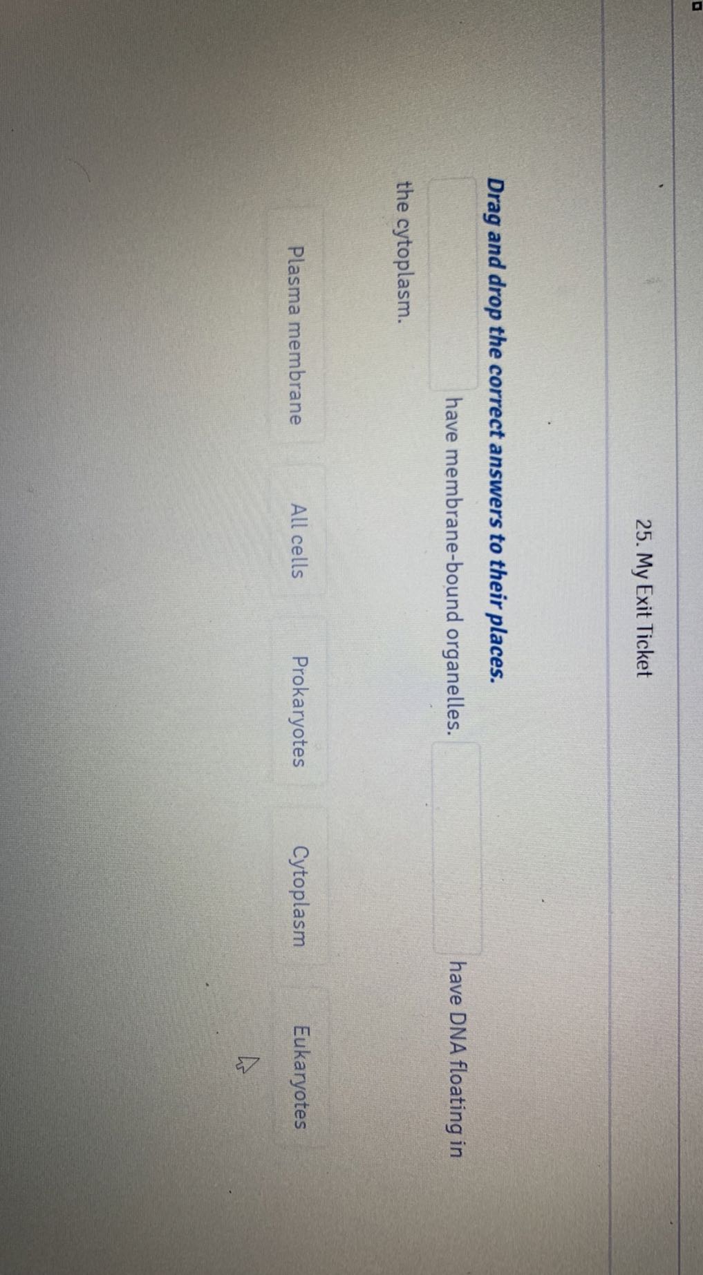 25. My Exit Ticket Drag and drop the correct answers to their places ...