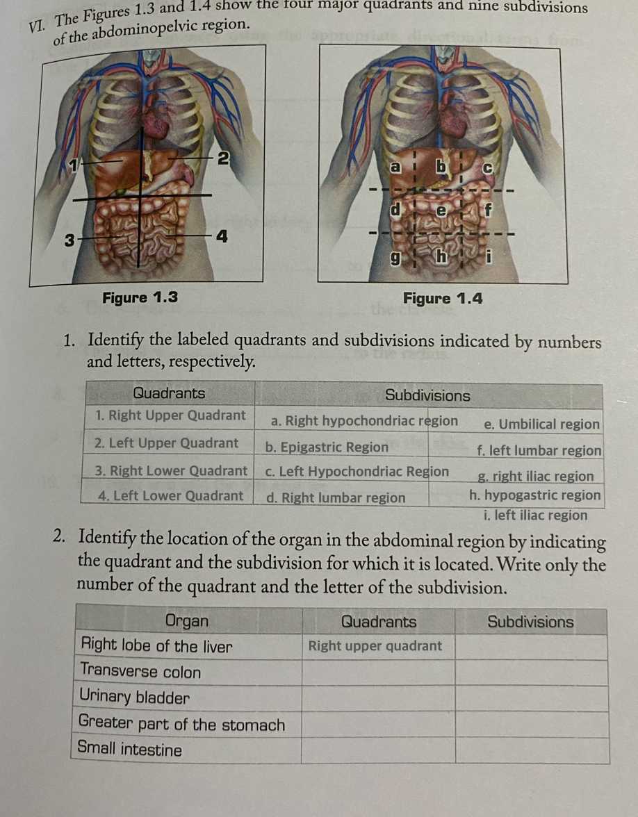 VI. The Figures 1.3 and 1.4 show the four major quadrants and nine ...