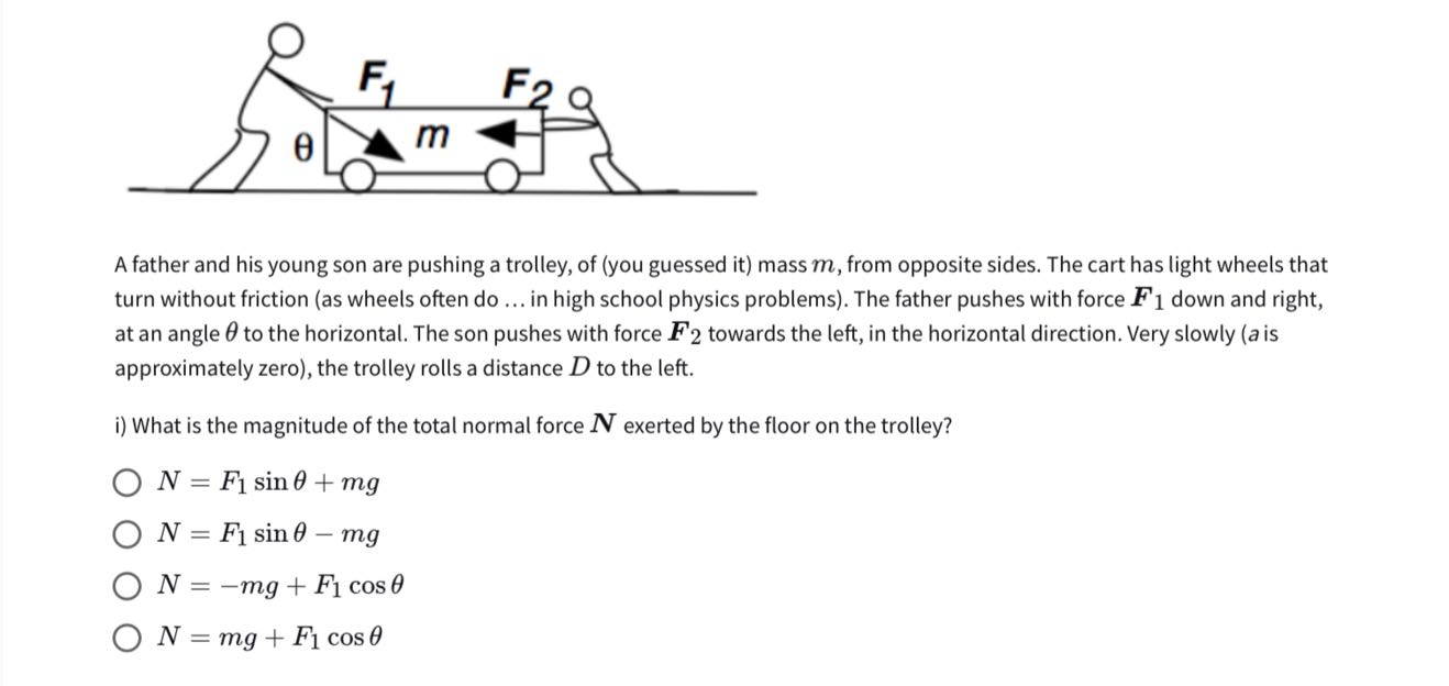 a father and his young son are pushing a trolley of you guessed it mass ...