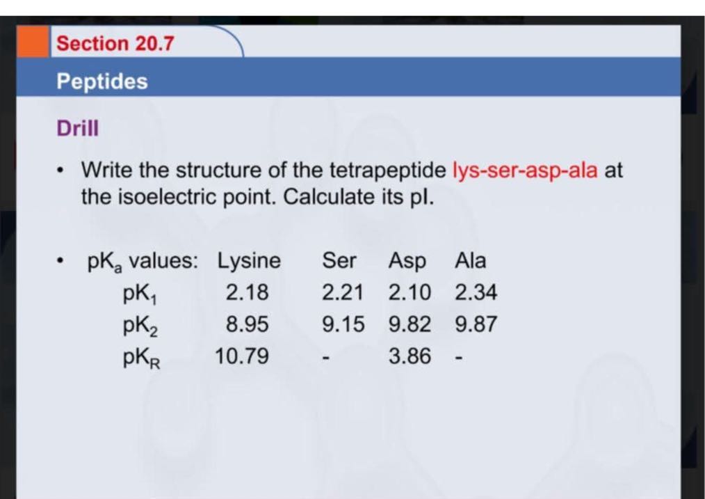Section 20.7 Peptides Drill - Write the structure of the tetrapeptide ...
